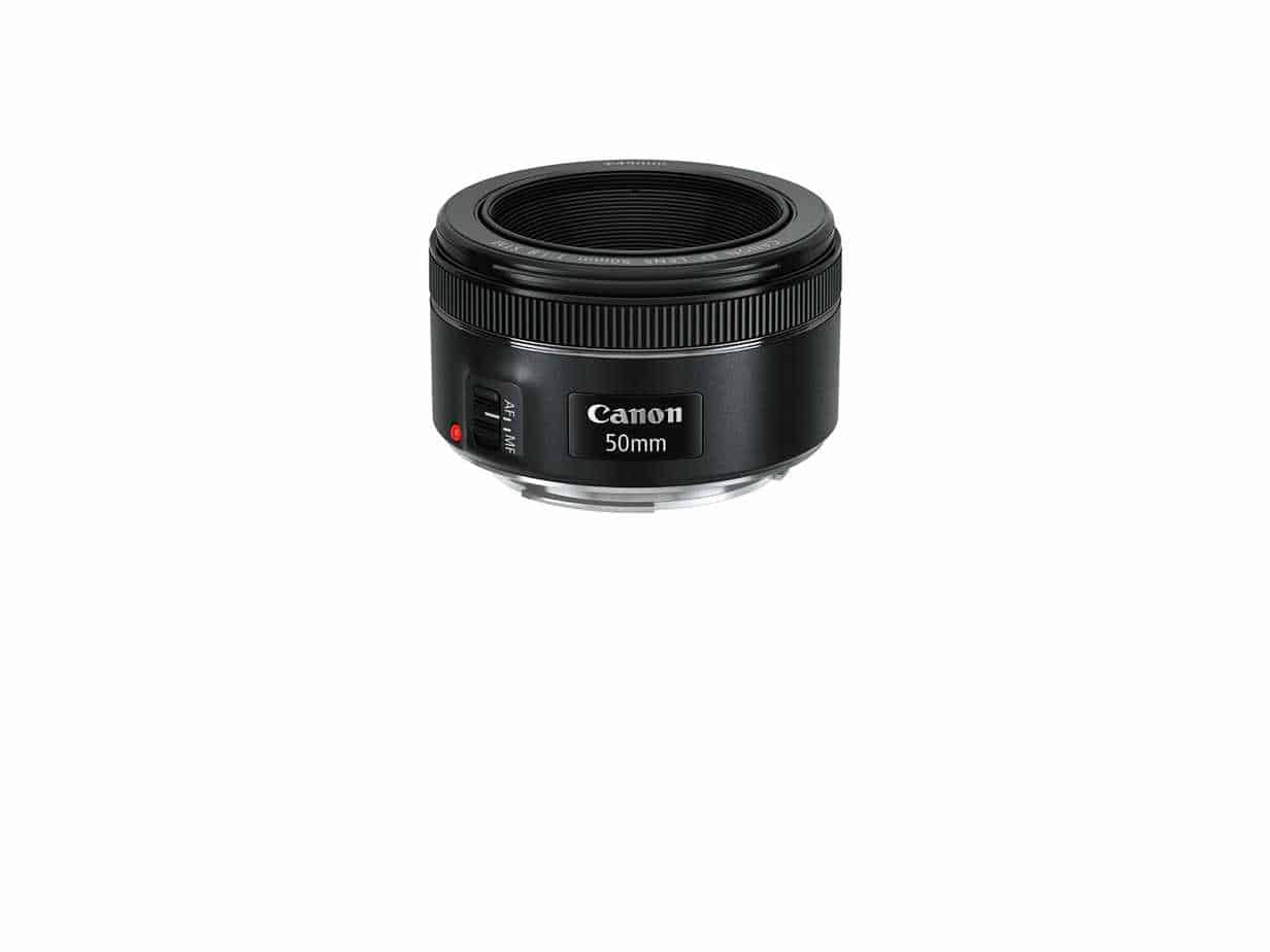 Best Macro Lens for Canon - Jen Reviews