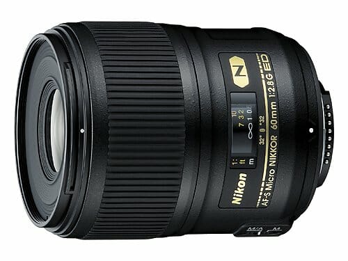 Best Macro Lens for Nikon | Jen Reviews