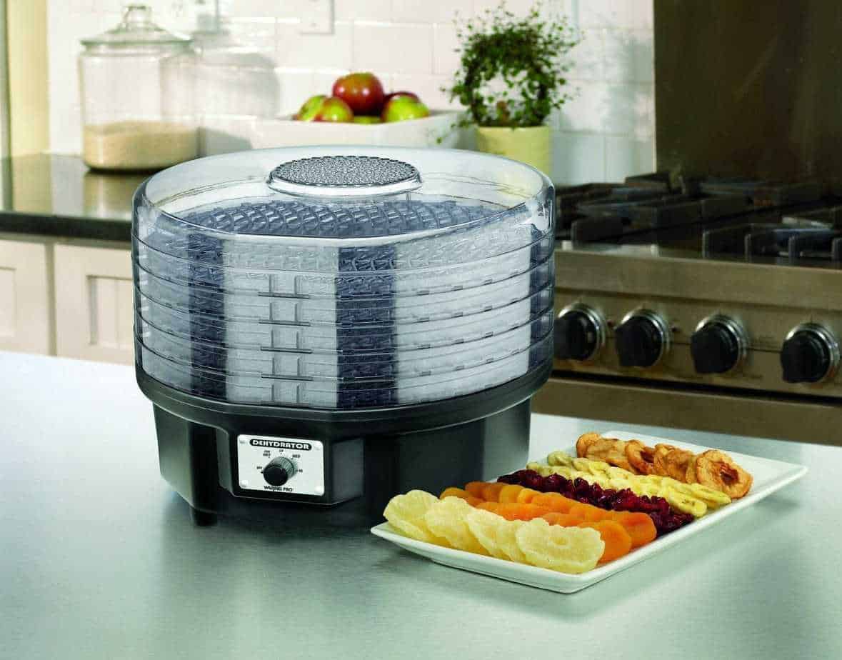 Best Dehydrator | Jen Reviews