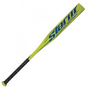 Best Fastpitch Softball Bats | Jen Reviews