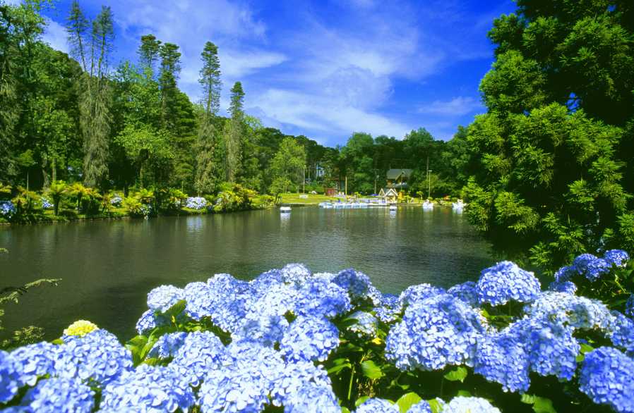 100 Best Things to do in Brazil | Jen Reviews