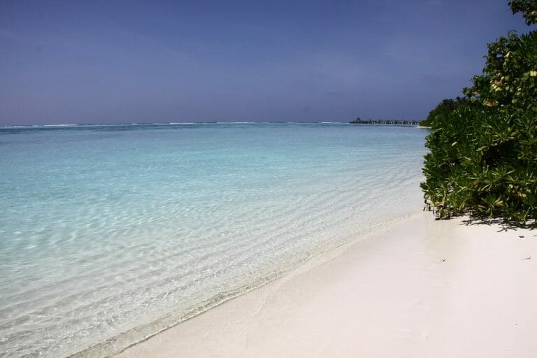 100 Best Things to Do in The Maldives | Jen Reviews