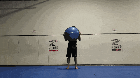 40 Bosu Ball Circuit Training Exercises | Jen Reviews