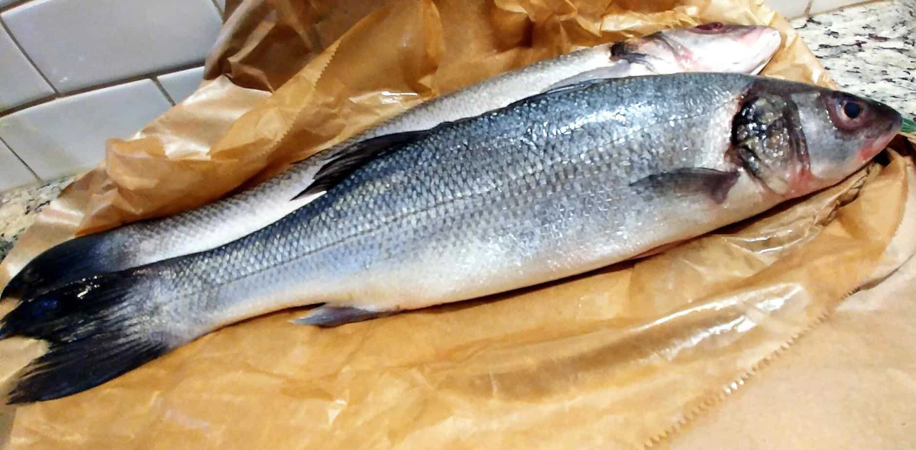 How to Fillet a Fish the Easy Way - Step by Step Tutorial - Jen Reviews