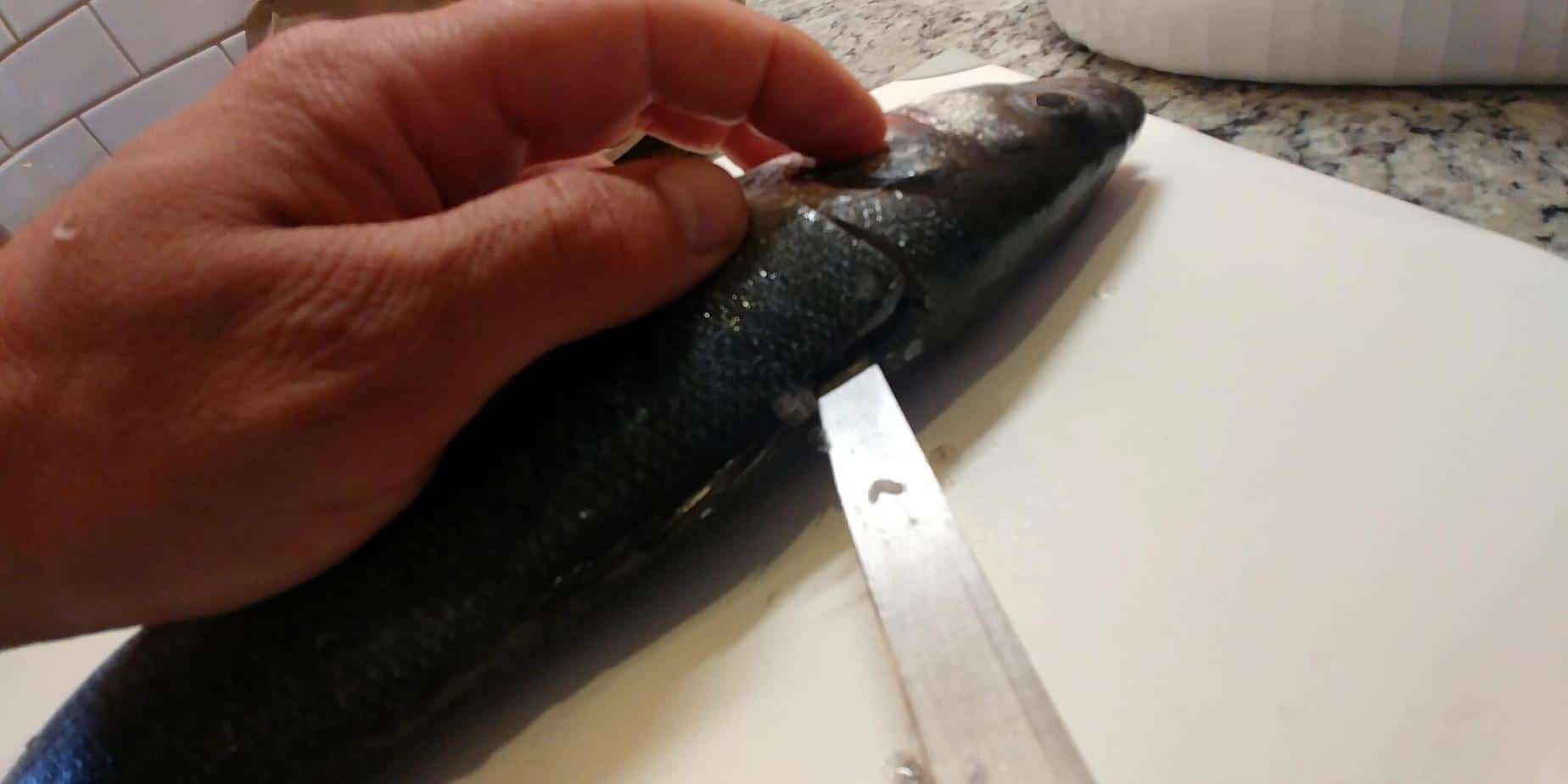 How to Fillet a Fish the Easy Way - Step by Step Tutorial | Jen Reviews