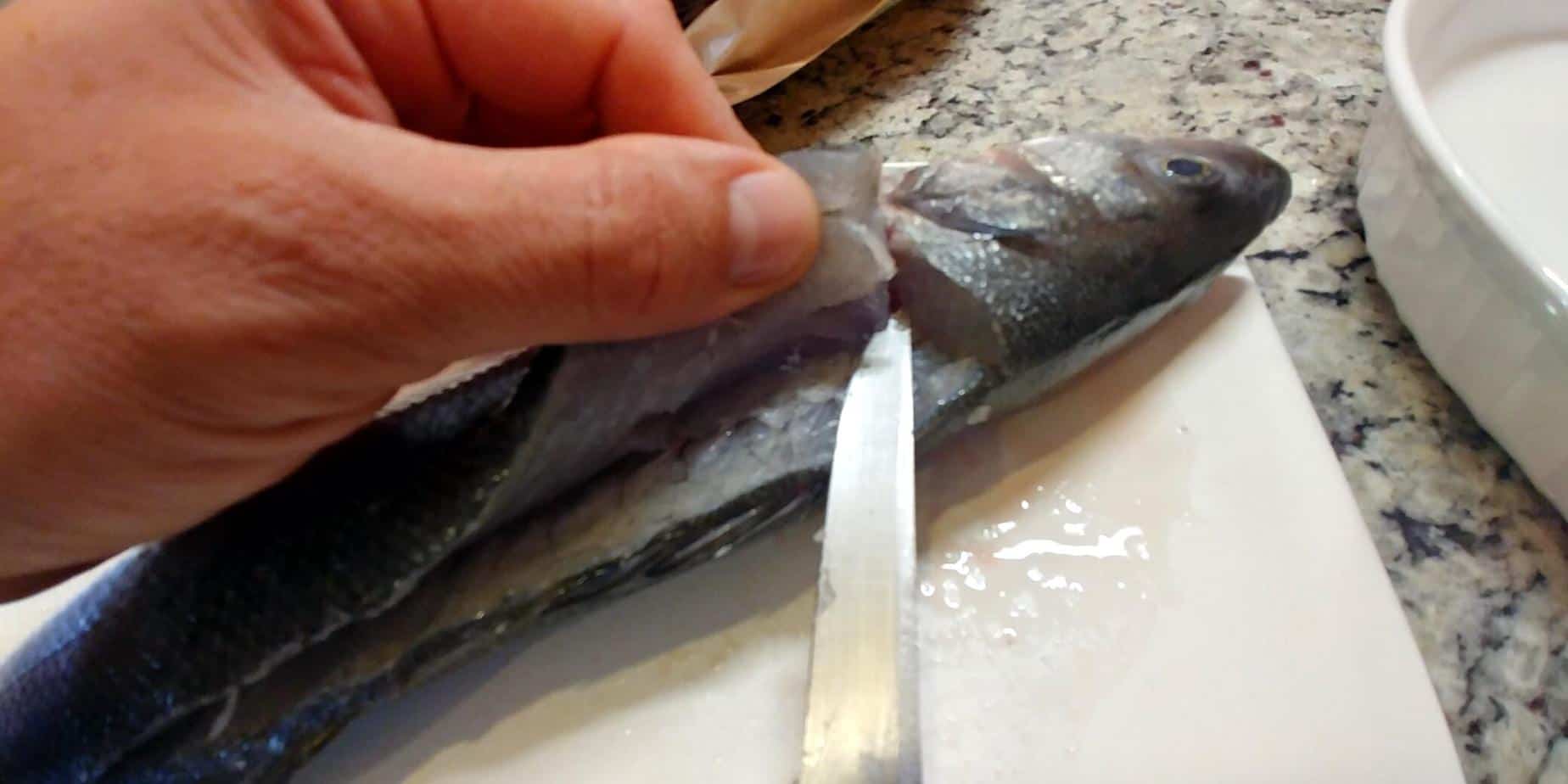 How to Fillet a Fish the Easy Way - Step by Step Tutorial | Jen Reviews