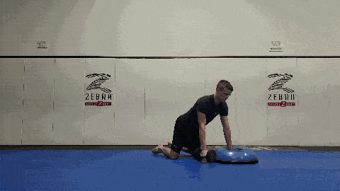 40 Bosu Ball Circuit Training Exercises | Jen Reviews