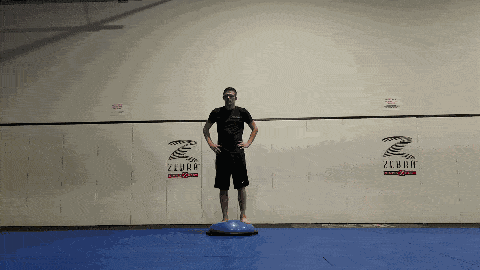 40 Bosu Ball Circuit Training Exercises | Jen Reviews