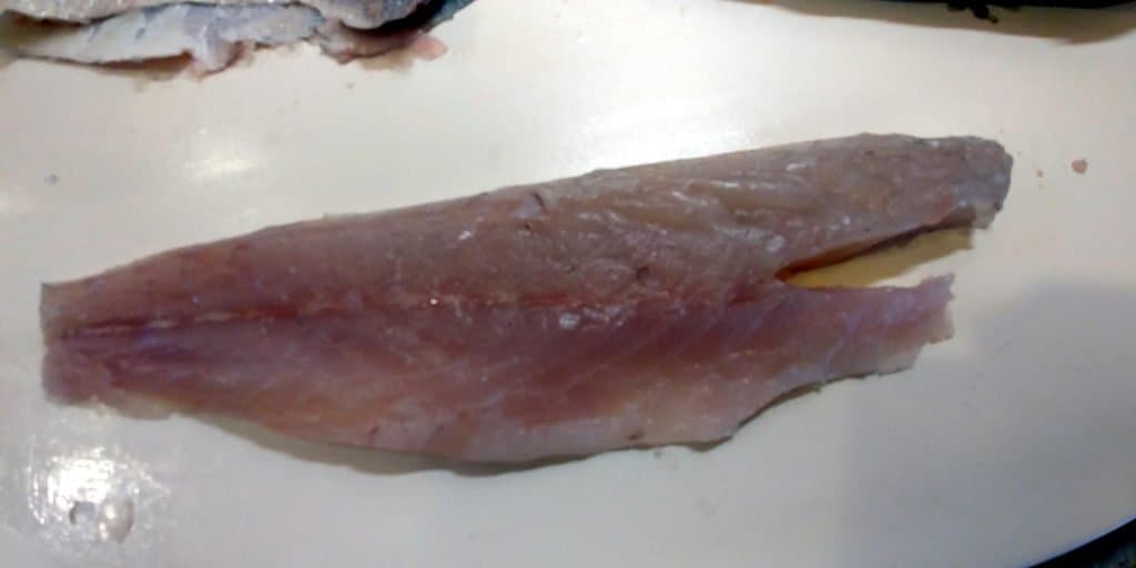 How to Fillet a Fish the Easy Way - Step by Step Tutorial | Jen Reviews