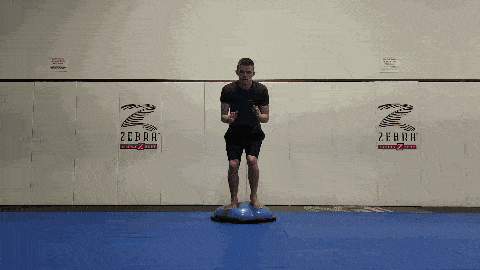 40 Bosu Ball Circuit Training Exercises | Jen Reviews