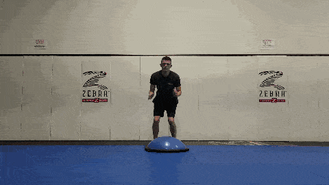 40 Bosu Ball Circuit Training Exercises | Jen Reviews