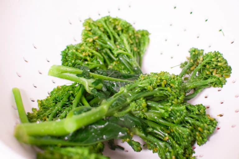 Bacon Broccoli Rabe | Jen Reviews