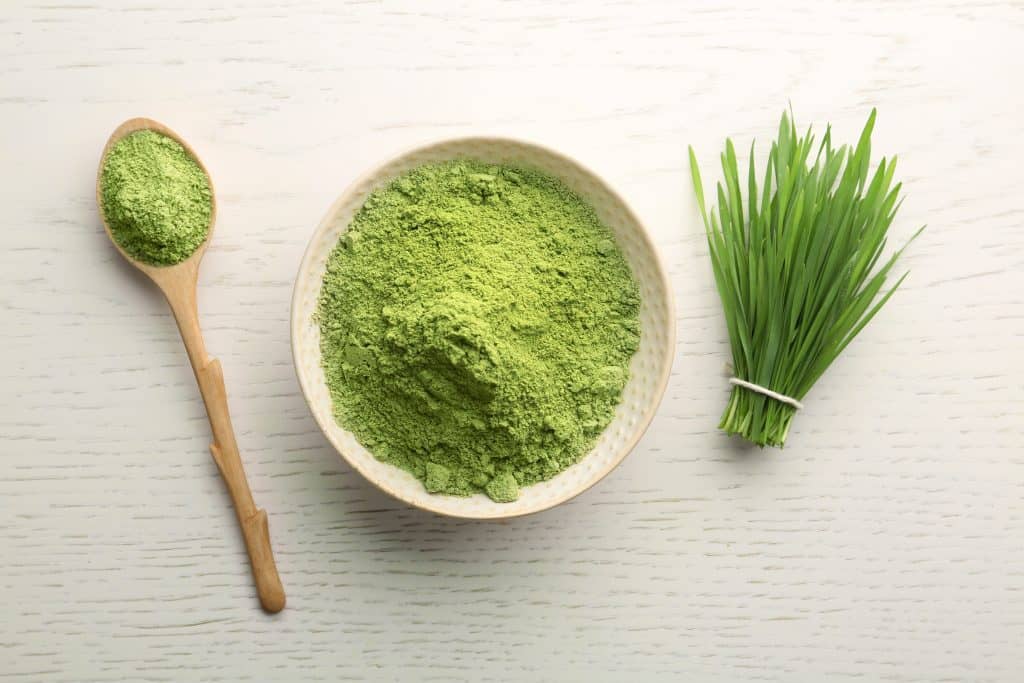 The Best Greens Powder for Your Body Needs | Jen Reviews