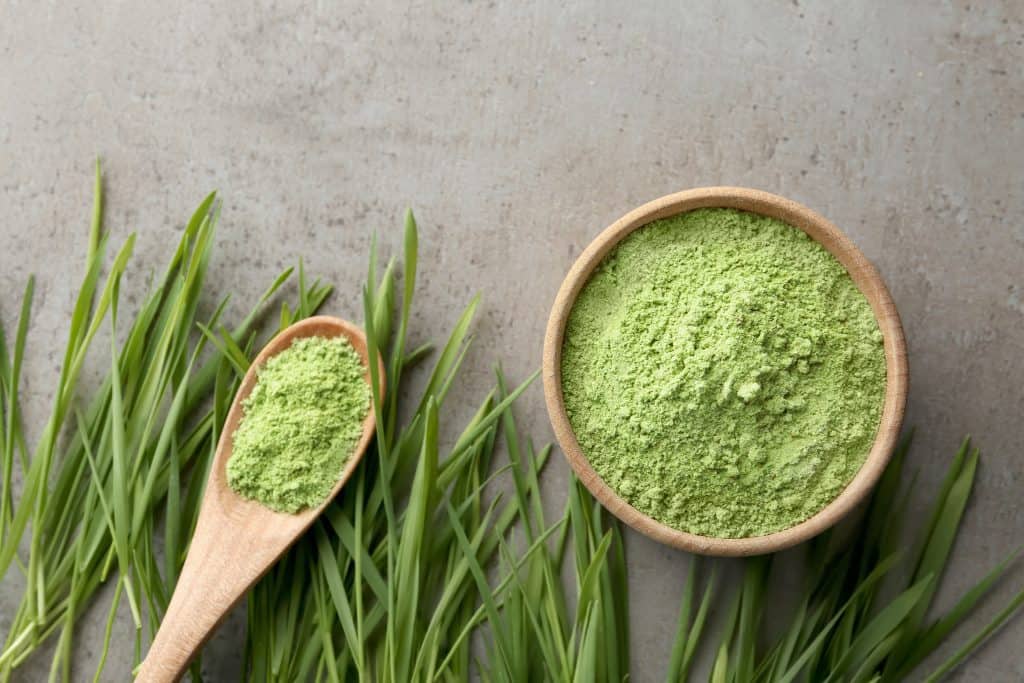 The Best Greens Powder for Your Body Needs | Jen Reviews