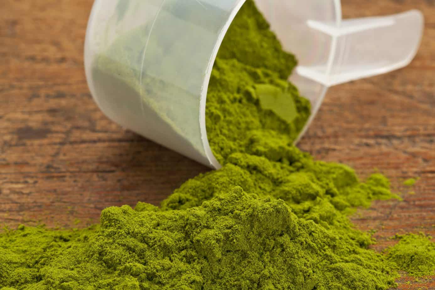 The Best Greens Powder for Your Body Needs | Jen Reviews