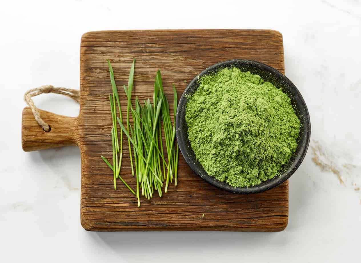 The Best Greens Powder for Your Body Needs | Jen Reviews